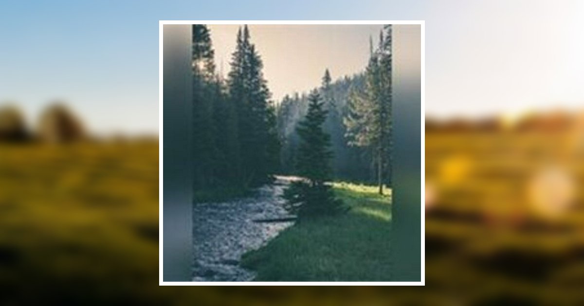 Joseph R. "Joe" Gustafson Obituary January 12, 2017 - Braman Mortuary ...