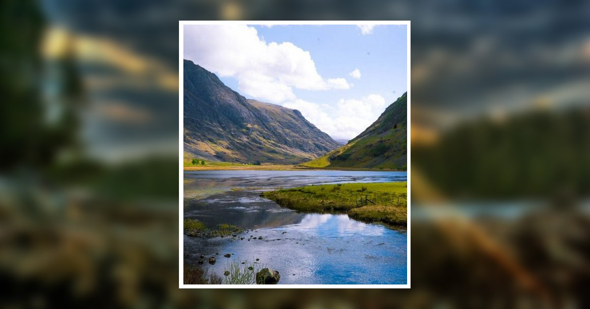 Dan Michael Fiorilli Obituary November 22, 2024 - Buch Funeral Homes