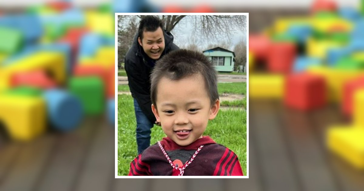 Alexander Bee Obituary May 29, 2024 - Hamilton Funeral Home