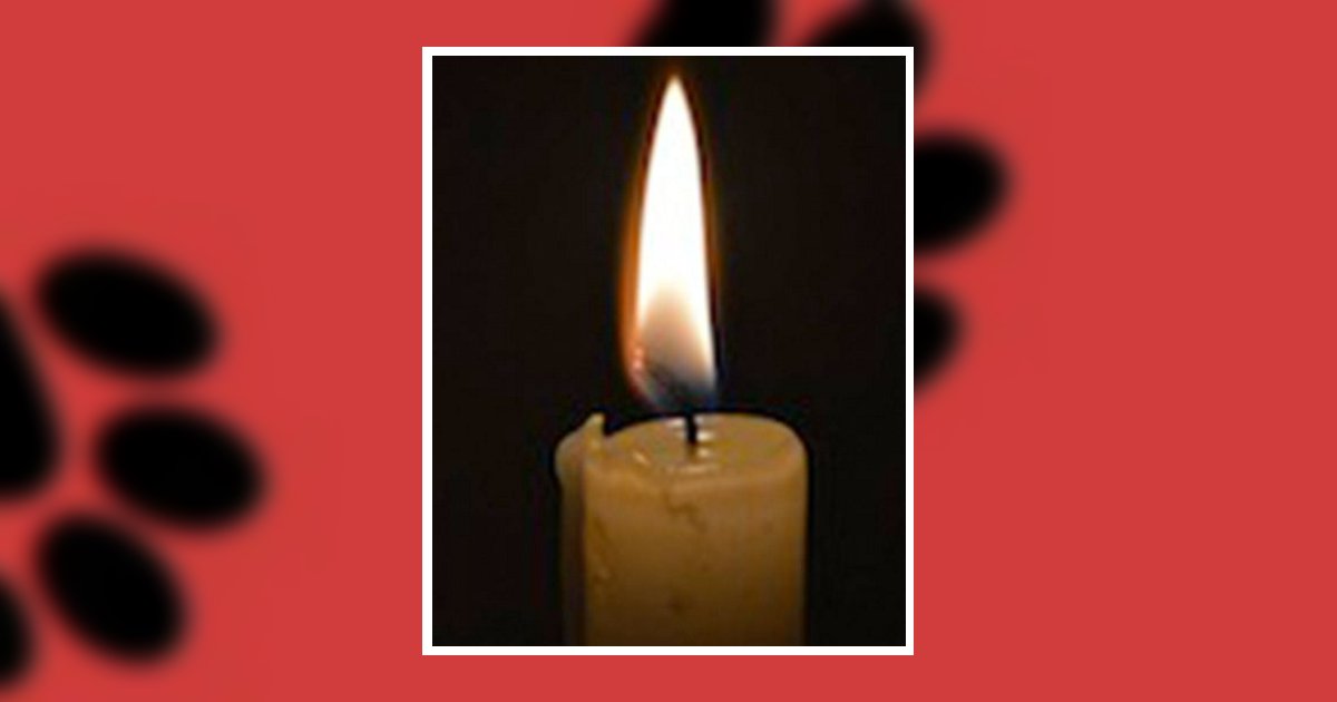 Mary Rohan Obituary May 22, 2019 - George Irvin Green Funeral Home