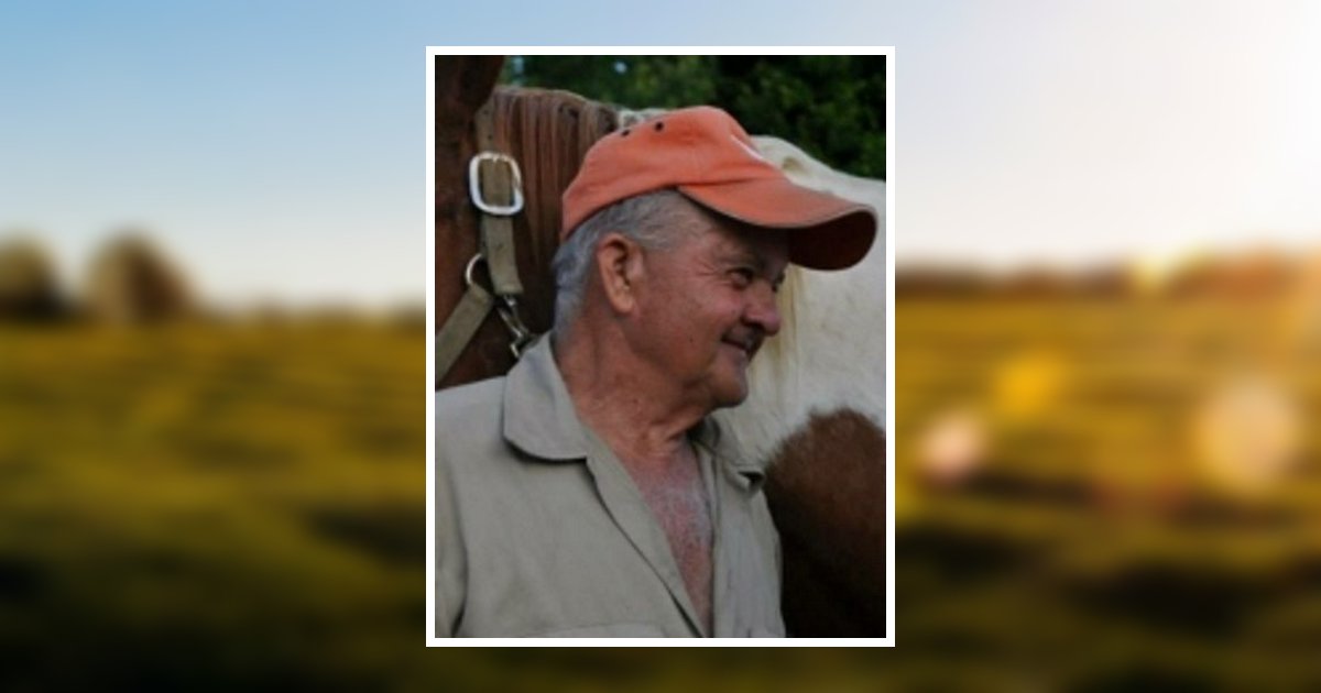 Nicholas Ralph Domain Obituary June 19, 2018 - Companion Funeral ...