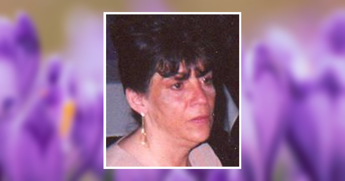 Jodeen M. Hinman Obituary November 25, 2008 - New Comer Syracuse