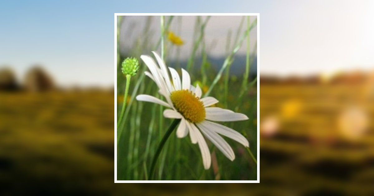 Barbara Ann Conklin Obituary - Gentry-Newell & Vaughn Funeral Home