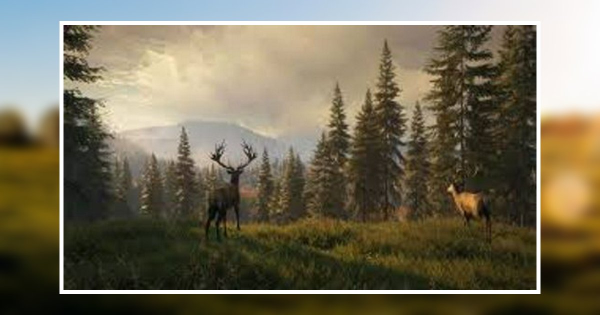 Donald Otten Obituary August 28, 2022 - Buffalo Hill Funeral Home ...