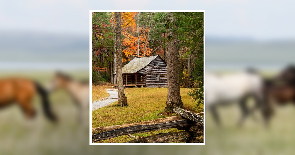 William J. Linklater (Joe) Obituary February 1, 2025 - Simplicity ...