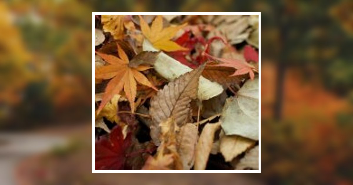 Charles Earl Pemberton Obituary September 6, 2020 - Linville Memorial ...