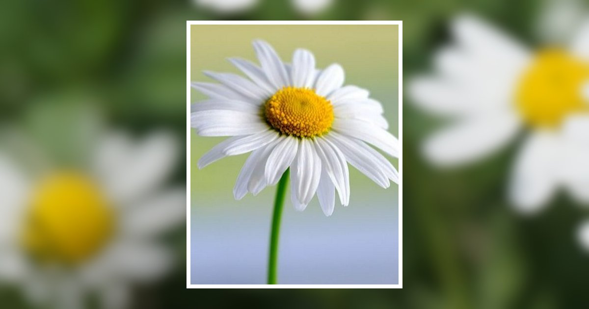 Emily Ouellette Geraci Obituary June 24, 2023 - Little's Funeral Home ...