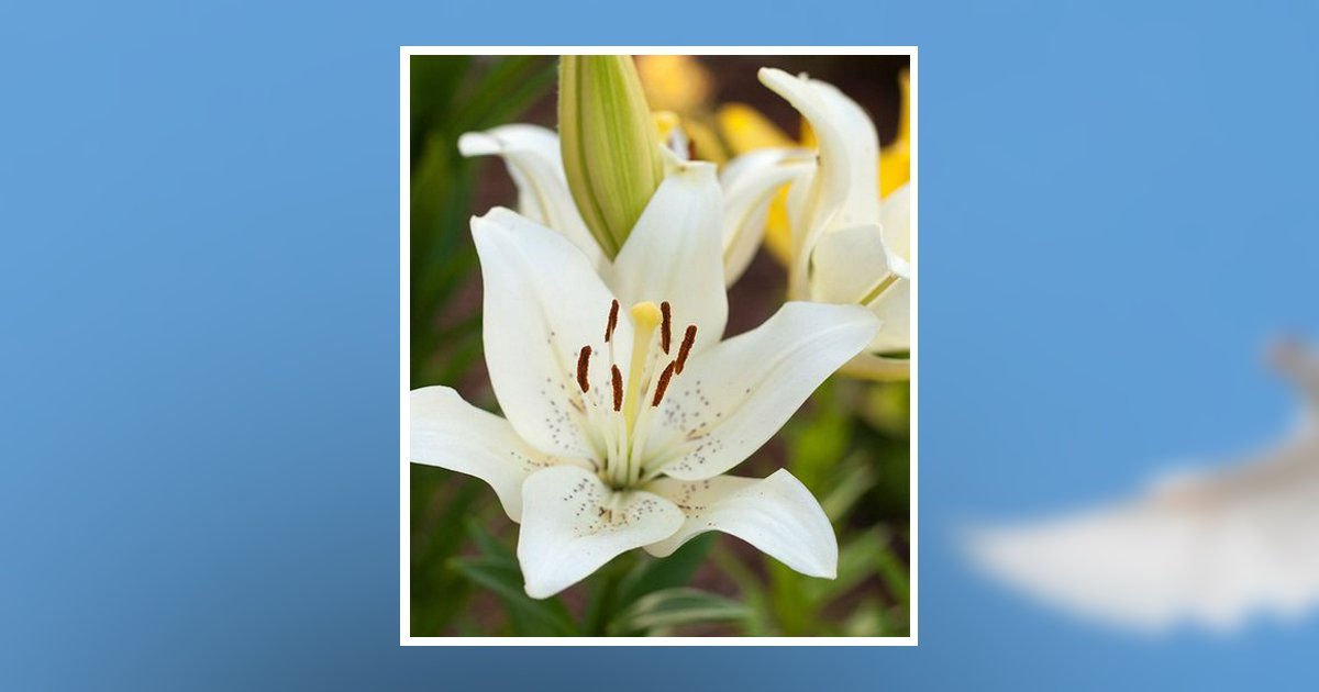 Ann Boatwright Obituary February 3, 2025 - Thomas Poteet & Son Funeral ...