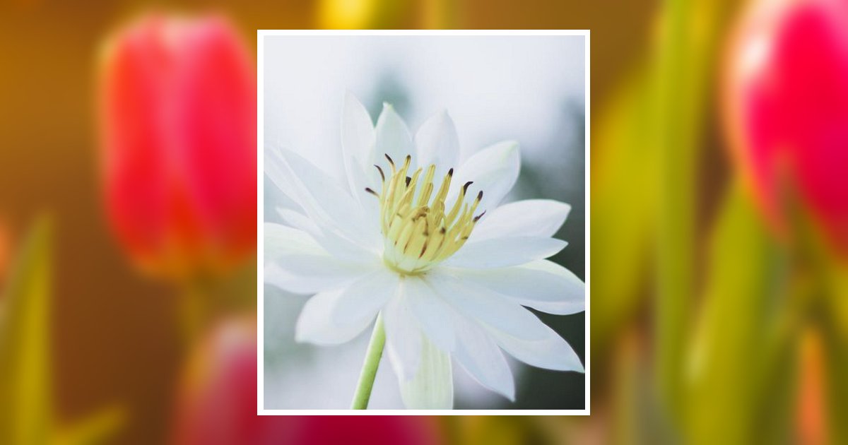 Melissa Elizabeth Lockley Obituary June 16, 2024 - Low Country ...