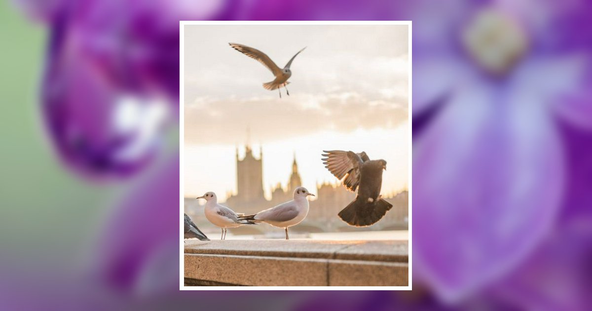 Ray Catherine Kendrick Obituary February 21, 2023 - M J R Friendly ...