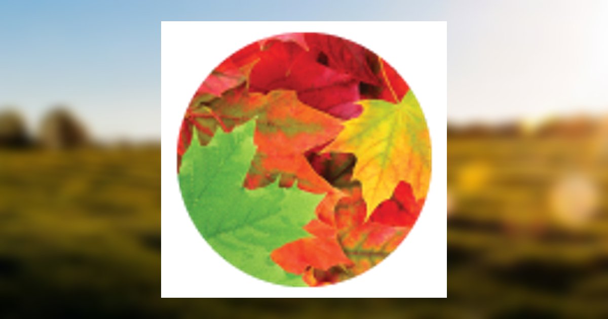 Michael Strawn Obituary November 12, 2020 - McRae Funeral Home