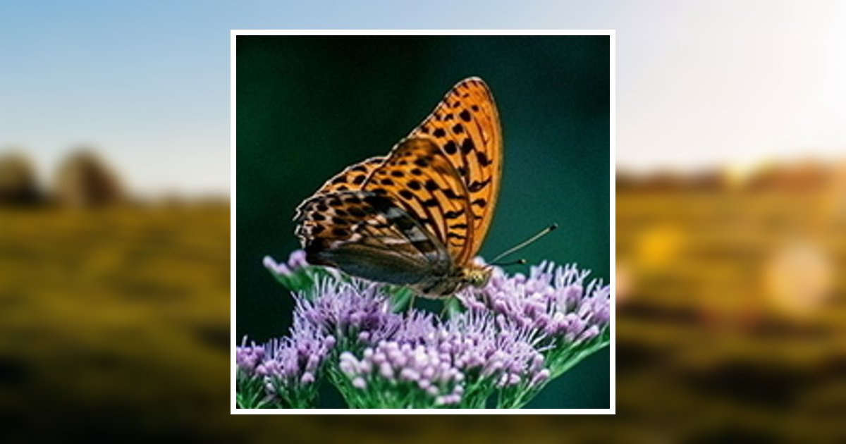 Maureen Van Hook Obituary August 25, 2019 - Shea Family Funeral Homes