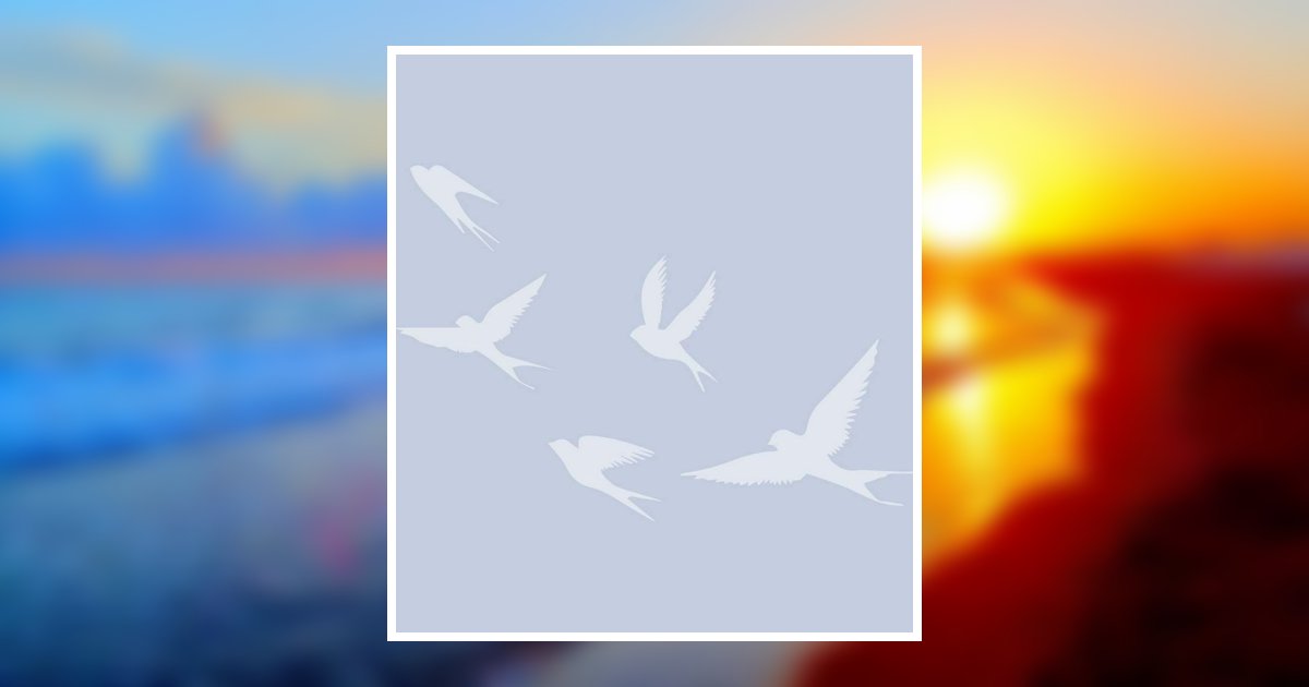 Nancy Shell Obituary August 6, 2025 - Wellman Funeral Home Inc.