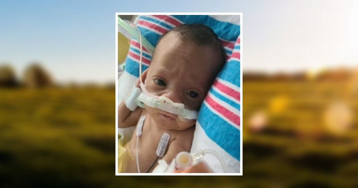 Elijah Darren Singleton Obituary August 30, 2022 - Platt's Funeral Home