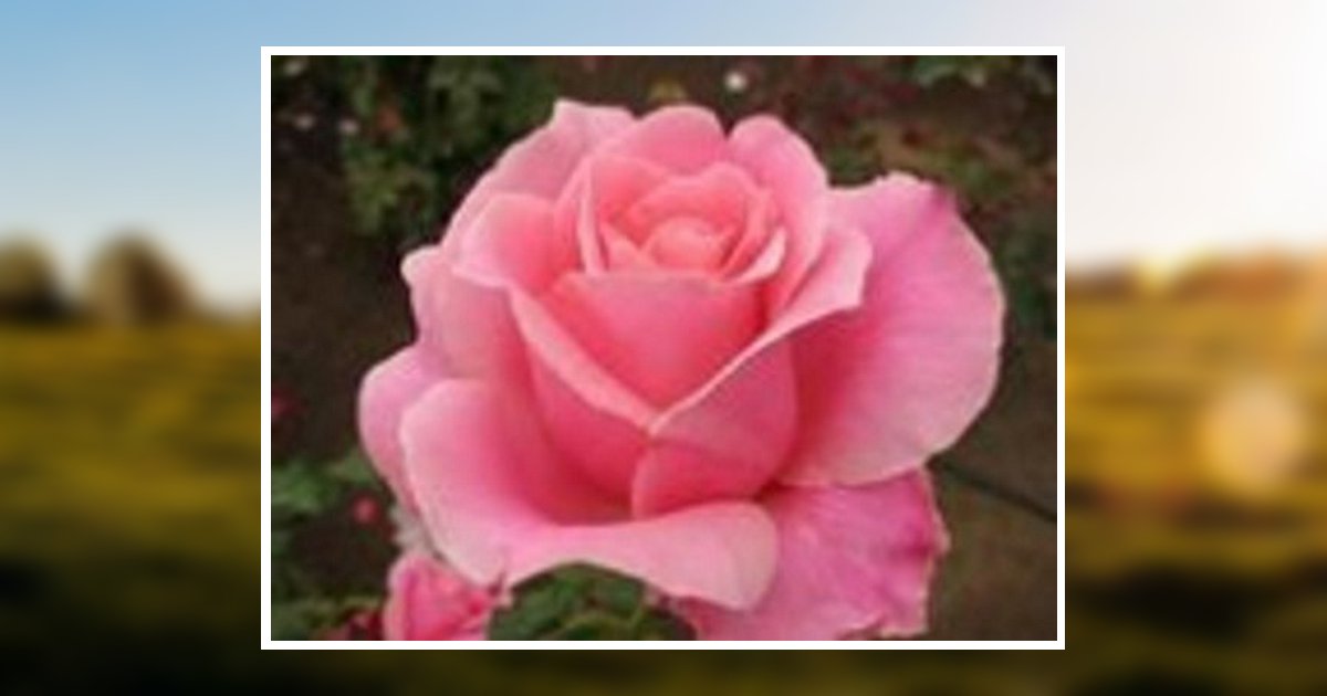 Eleanor Ingrid Ham Obituary 2013 - Apfel Funeral Home