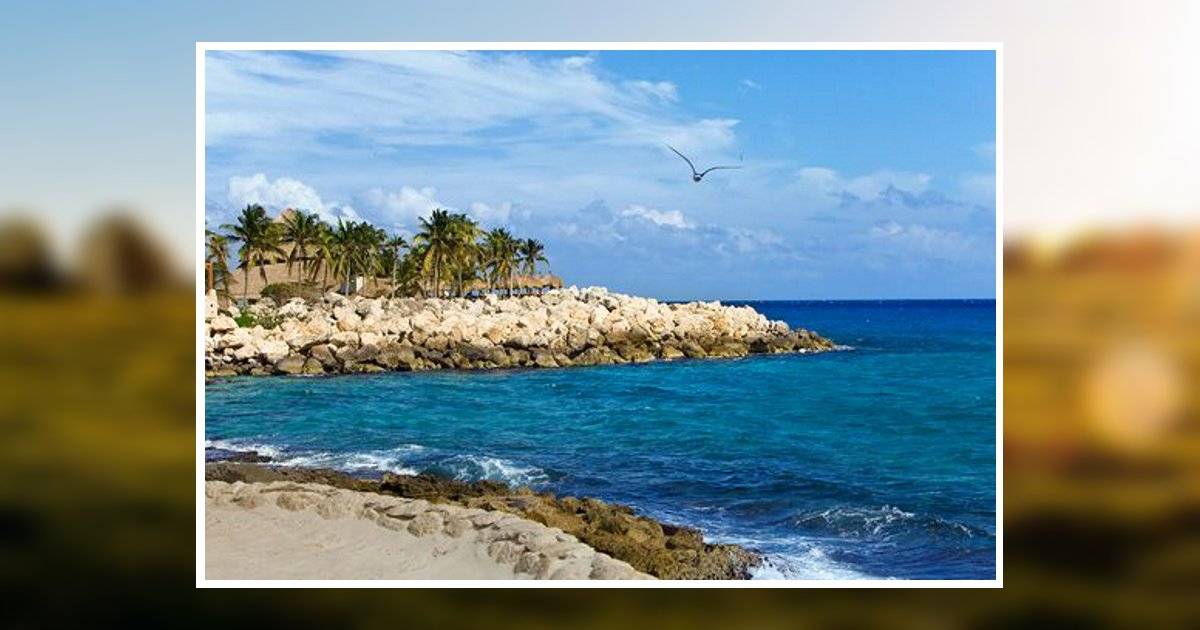 Marie "Tina" Rizzo Obituary February 24, 2018 - Moloney Family Funeral ...