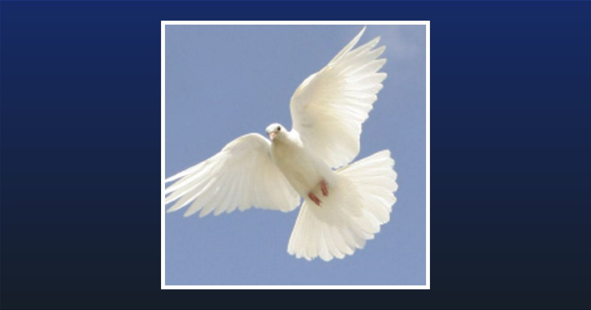 Janet Lee Stapleton Obituary January 3, 2020 - Newcomer Dayton