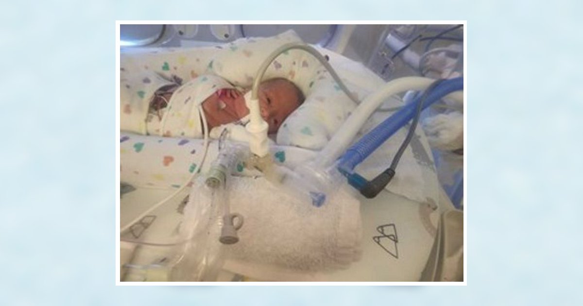 Noah Wyatt Holt Obituary - Newcomer Cincinnati Noah Wyatt Holt Obituary - Newcomer Cincinnati