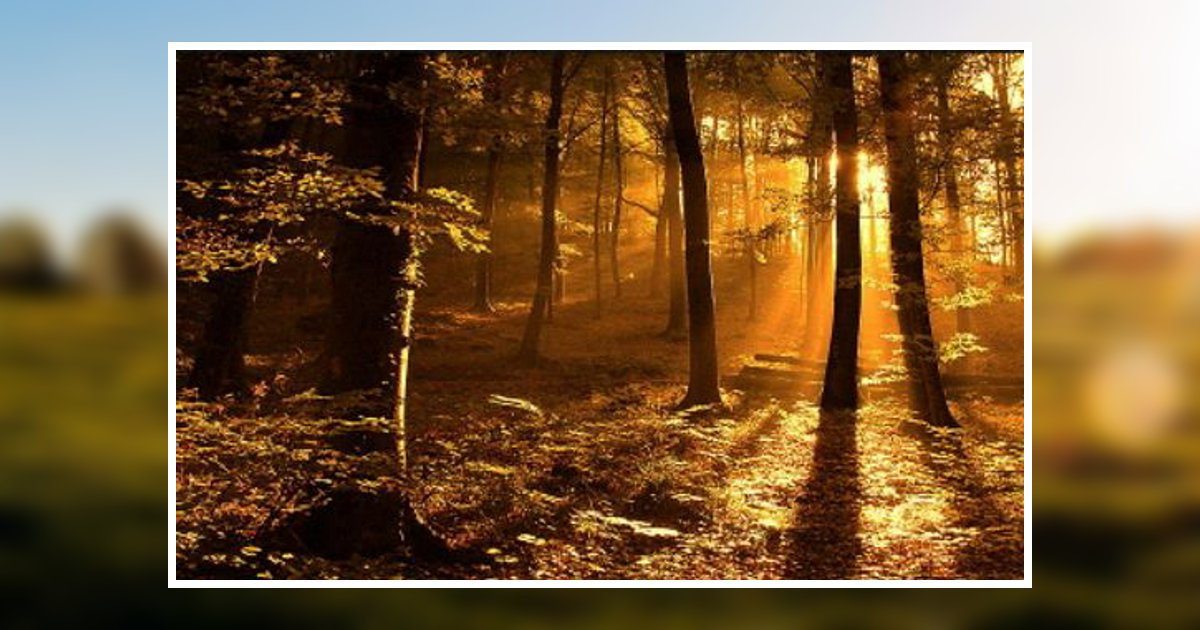 Daniel Simmer Obituary February 4, 2023 - Schaudt Funeral Service ...