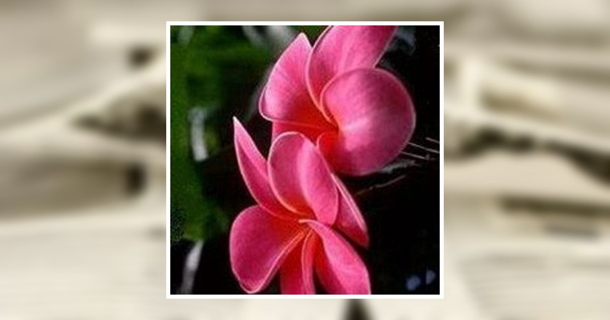 Jennie Mitchell Obituary March 10, 2015 - The J.F. Floyd Mortuary Jennie Mitchell Obituary March 10, 2015 - The J.F. Floyd Mortuary