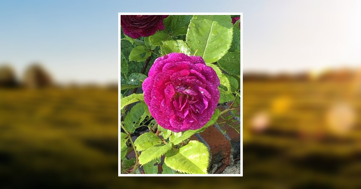 Anna Hancox Obituary June 17, 2022 - Oliver Funeral Home