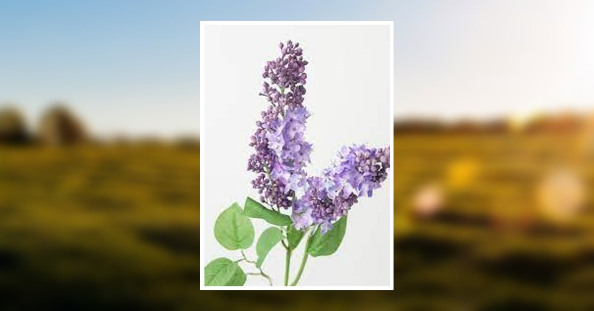 Cheryl Healy Ahern Obituary February 20, 2024 - Lord & Stephens Funeral ...