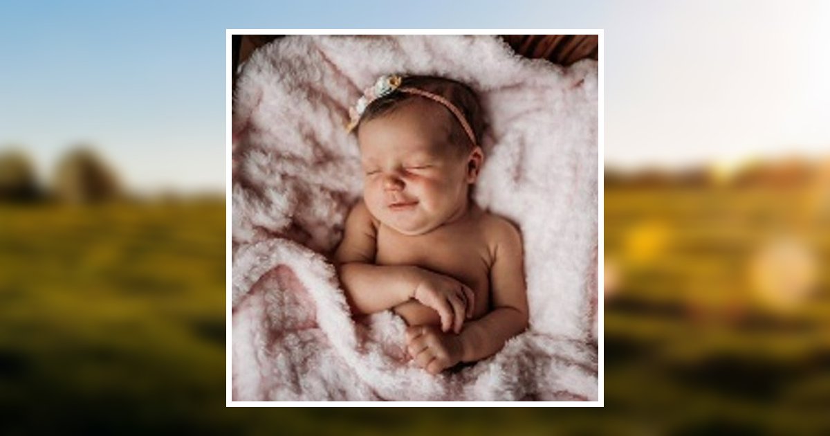 Wren Taylor Thaman Obituary July 7, 2019 - Middendorf Funeral Home