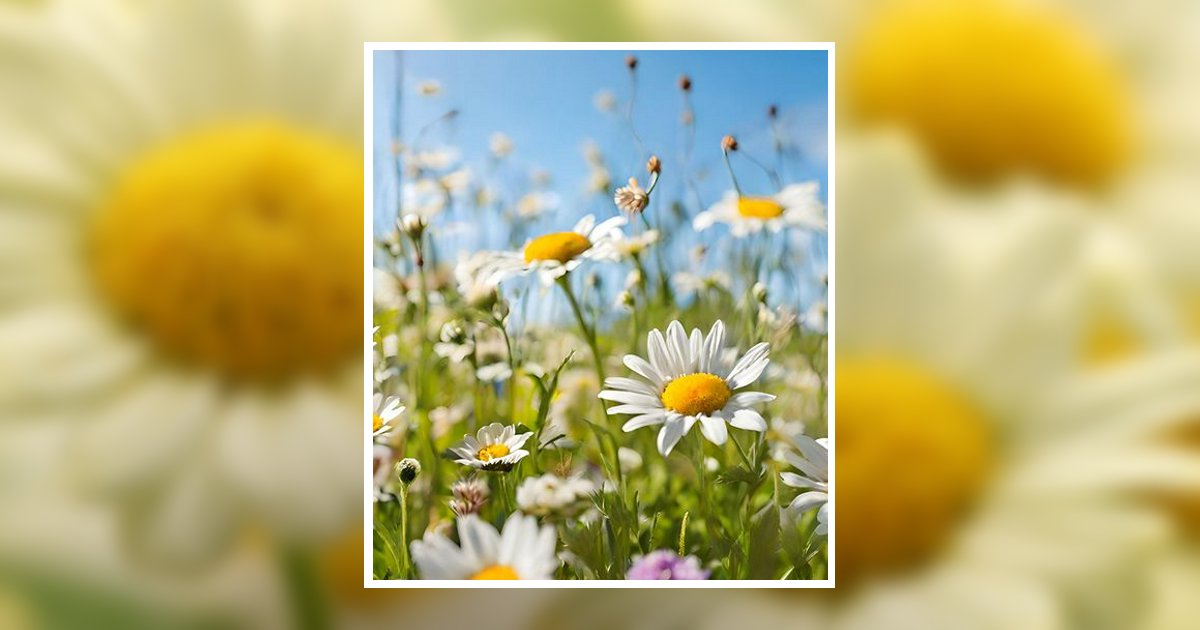 Alice Sullivan Obituary July 12, 2025 - Coile and Hall Funeral Directors