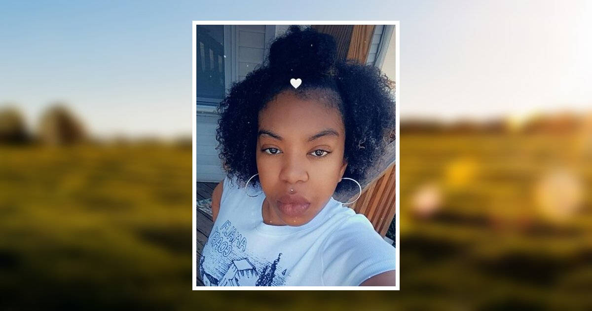 Moenisha Yvette Collins Obituary December 1, 2023 - Erickson Hansen ...