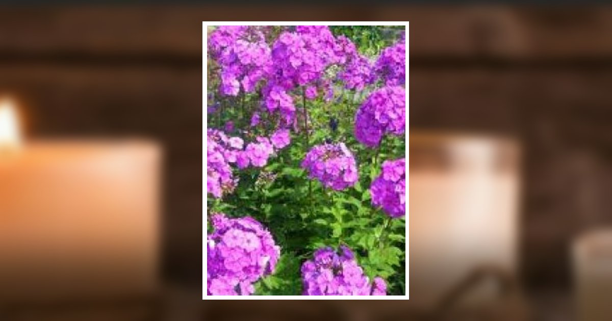 Patricia Ann Scott Clemmons Obituary 2018 - Tharp Funeral Home & Crematory
