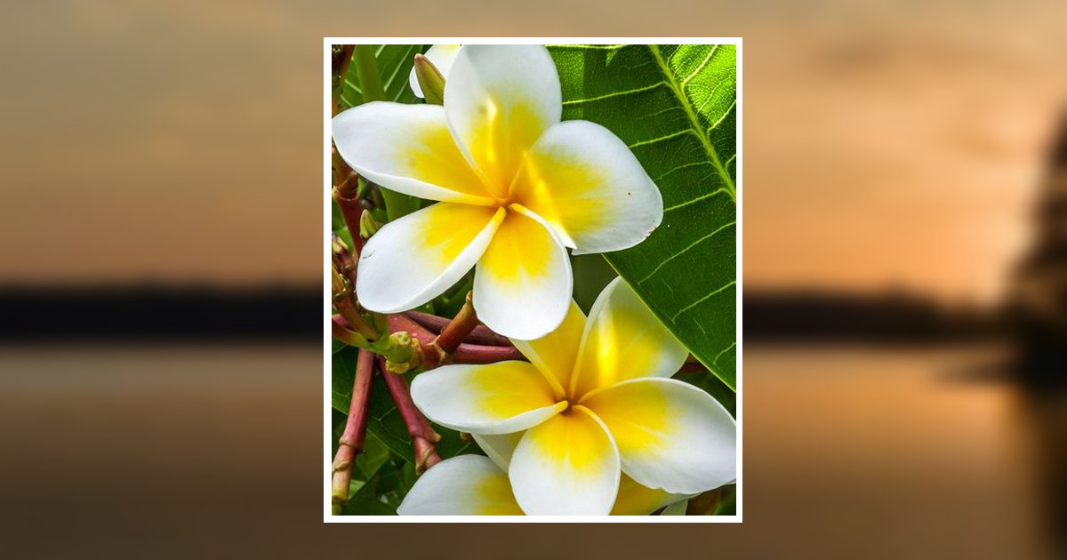 Danielle L McCarty Obituary May 16, 2025 - Affordable Cremation ...