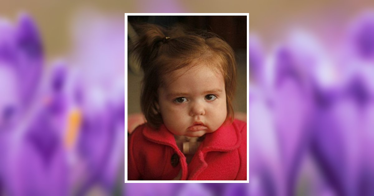 Scarlett Stoddard Obituary - Newcomer Columbus