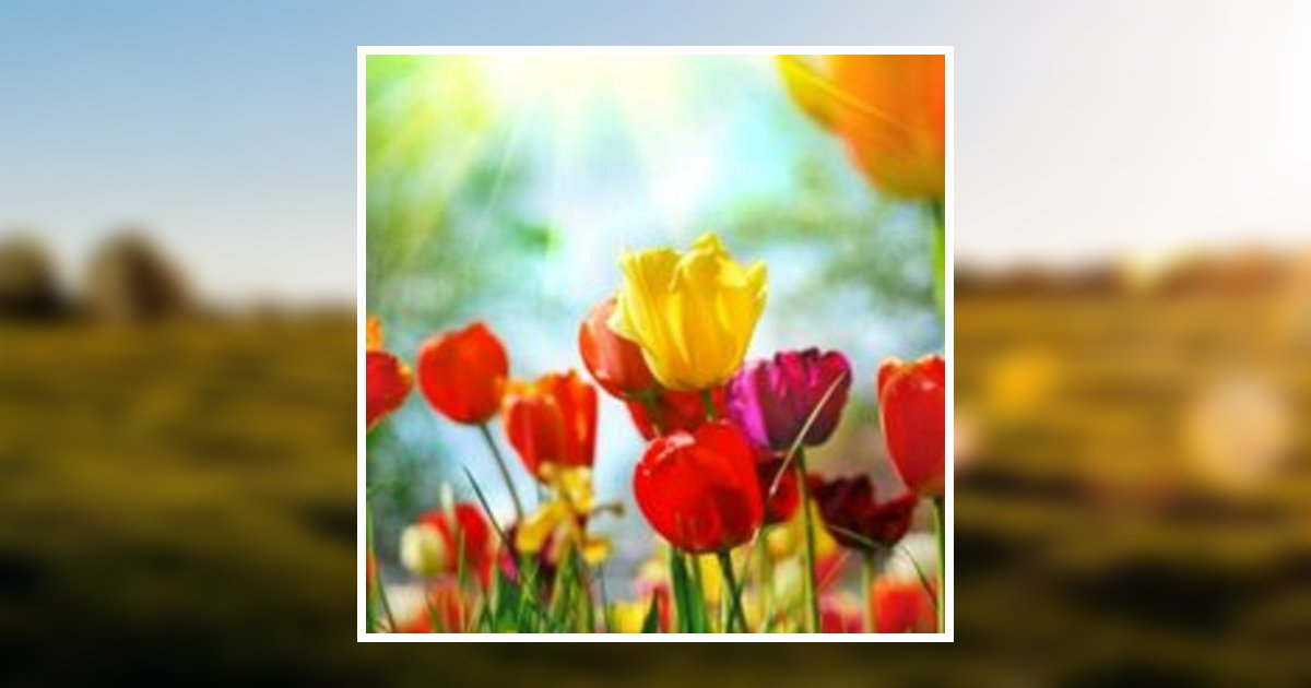 Ivoon Farah Gahshan Obituary April 5, 2016 - Thomas Miller Mortuary