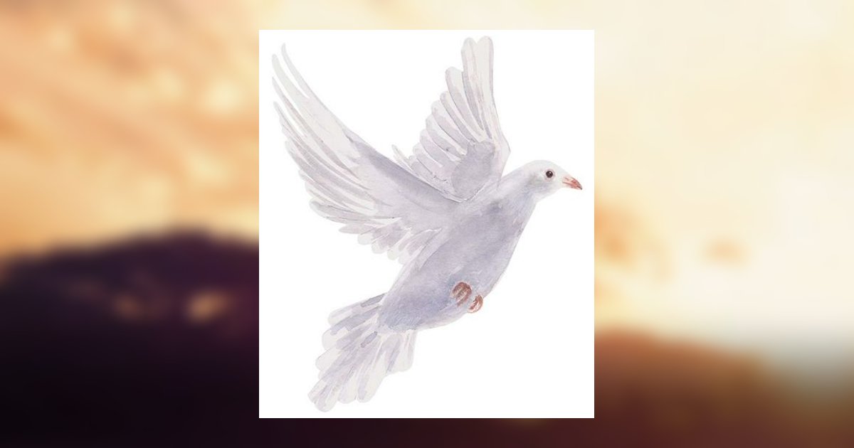 Amanda Rector Obituary March 28, 2025 - Farrar Funeral Home