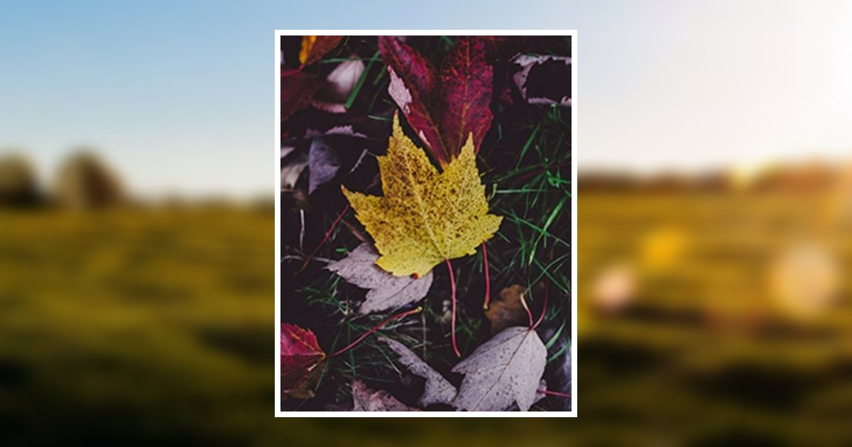 Joel Alan Chambers Jr. Obituary October 9, 2024 - Cardinal Funeral ...