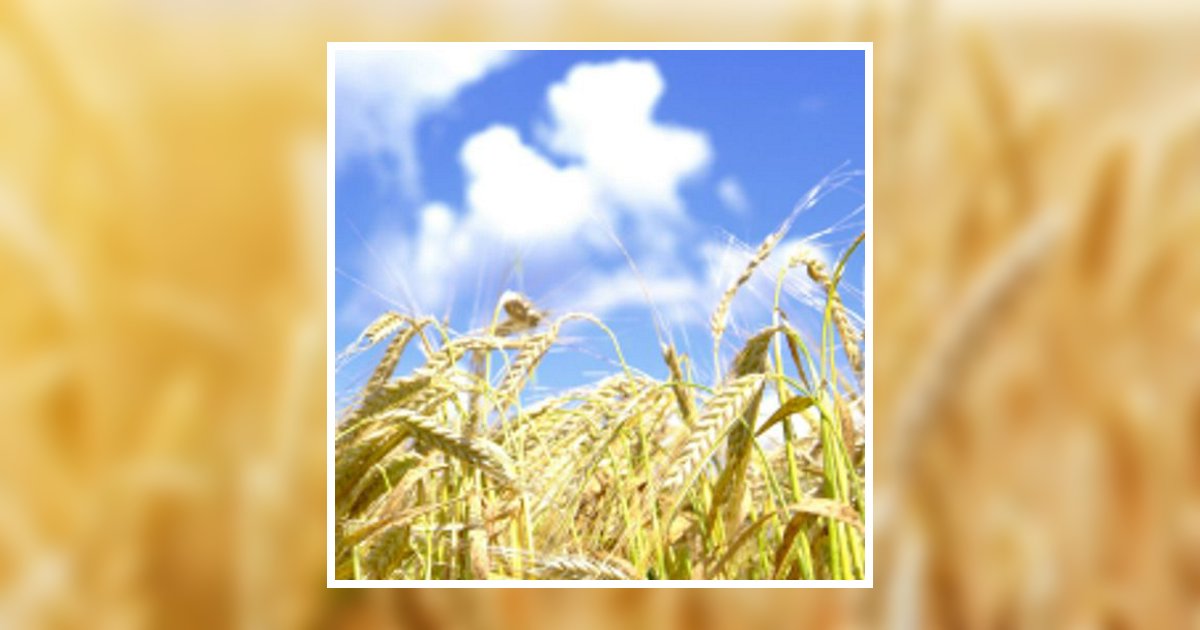 Ryan C. Pohl Obituary April 25, 2012 - New Comer Rochester