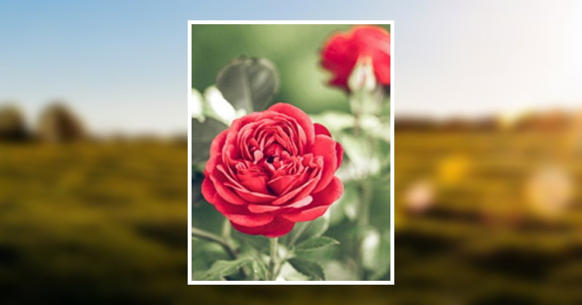 Rose Gaynor Obituary November 23, 2020 - Zimmer Westview Funeral ...