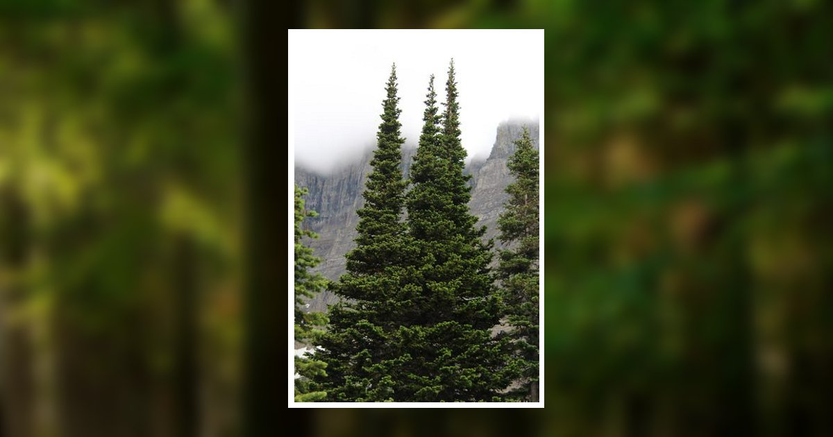 George Edward Horvath Obituary July 14, 2022 - Farmington Funeral Home