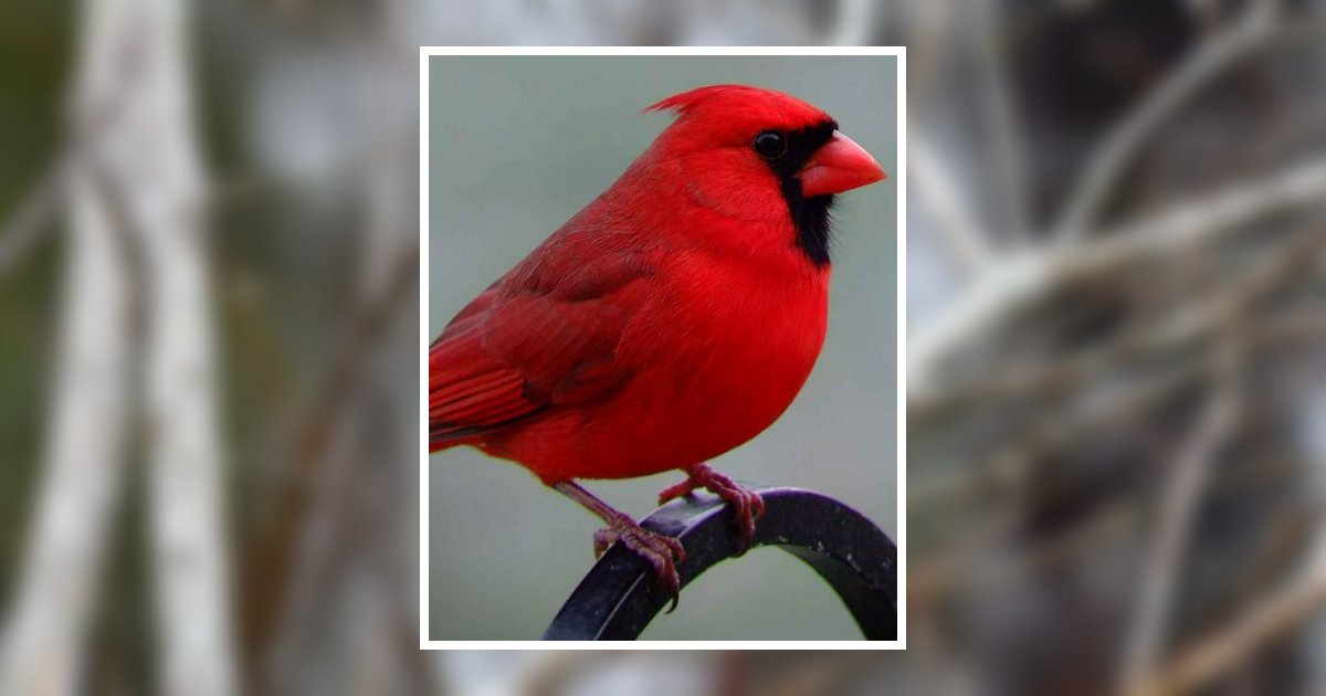 Mary Jean Hall Obituary November 20, 2024 - Horne Funeral Home ...