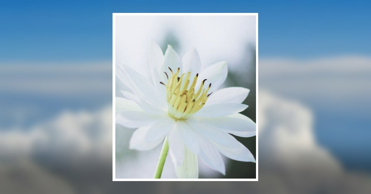 Frances Butler Obituary August 14, 2025 - Lee Funeral Homes