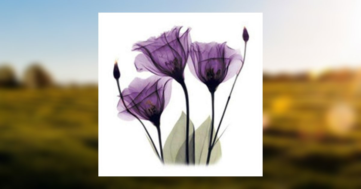 Mrs. SUSAN FAYE HUTTON-RIEHL Obituary October 20, 2017 - Harper & Lucas ...