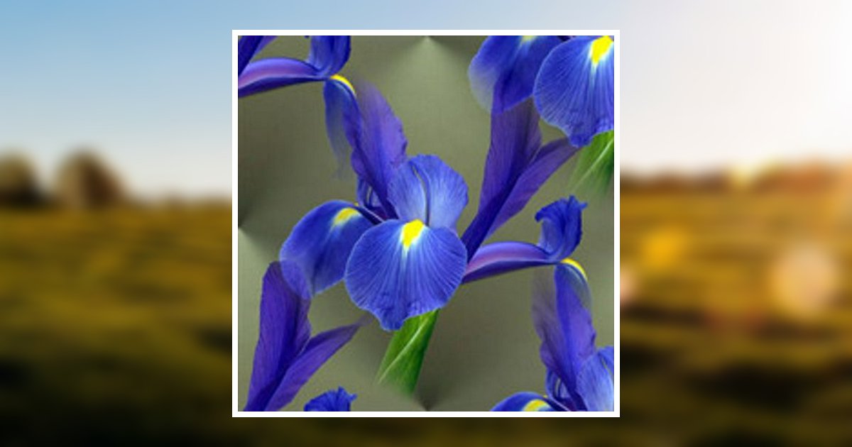 Iris Joy Cline Obituary February 24, 2017 - Lucas Funeral Home