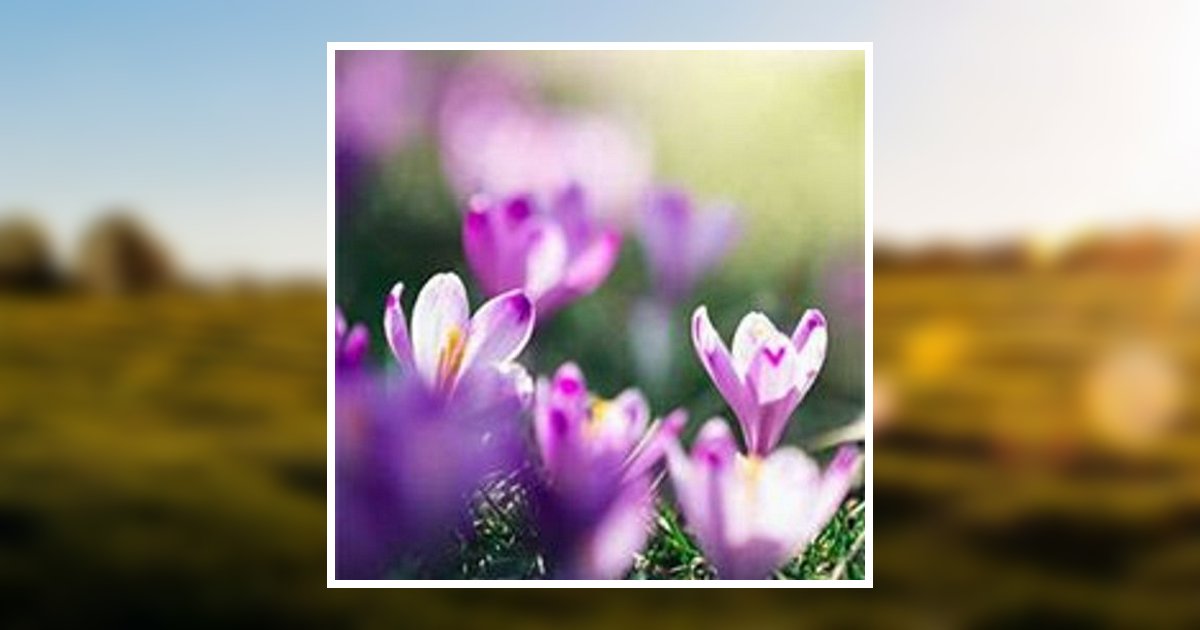 Susan Pamela Quinones Obituary January 11, 2016 - Colonial Family of ...