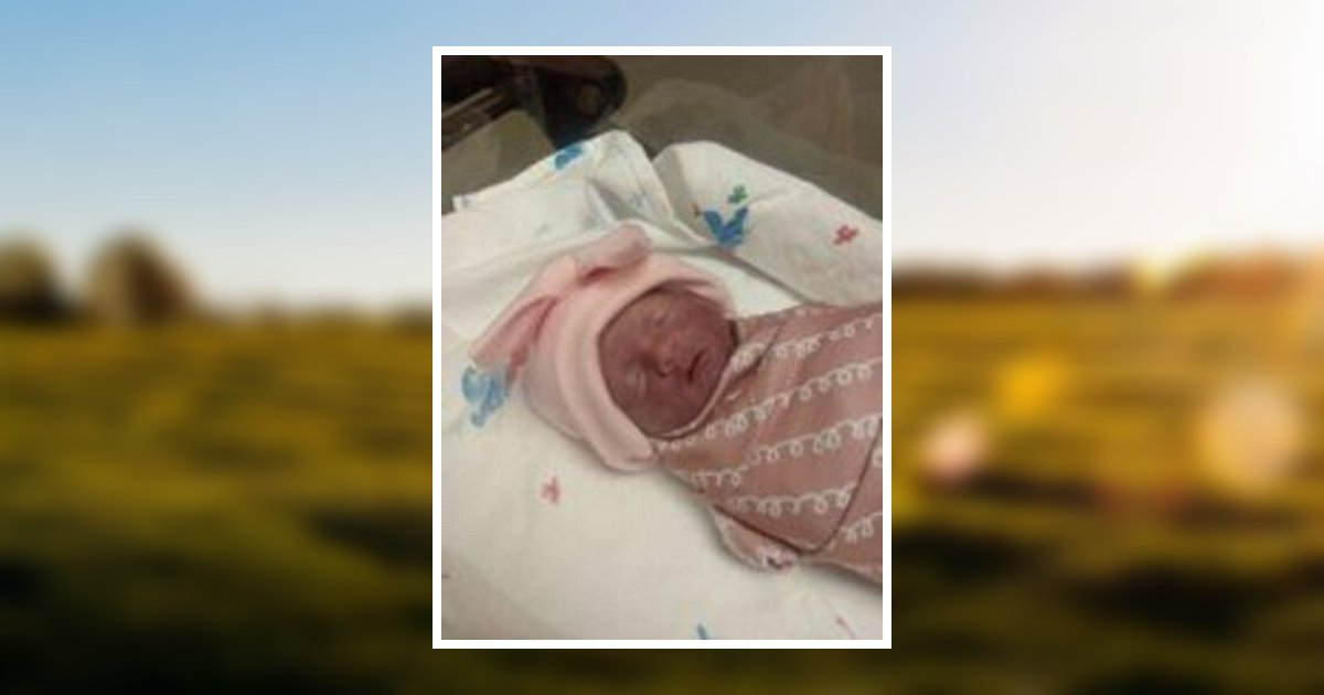 Jolene Sue (Hamner) Batts Obituary October 20, 2022 - Jacobsen-Greenway ...