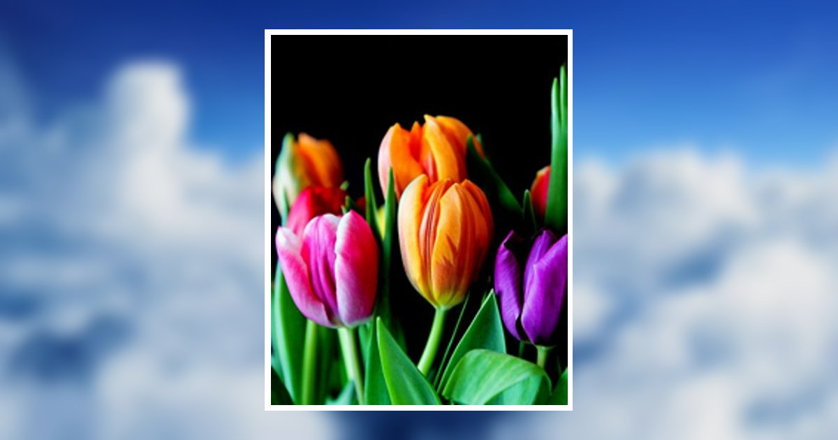 Rita C. Purvis Obituary November 21, 2019 - Billing Funeral Home