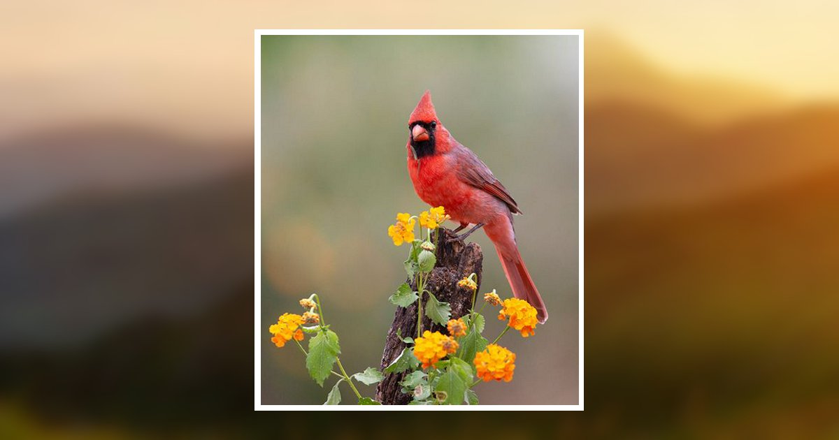 Randal Edward Partin Obituary April 11, 2025 - Cawood Funeral Home