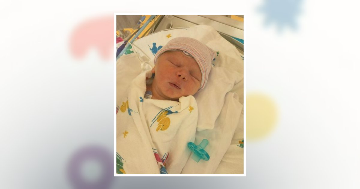 Magnus Reed Shepherd Obituary February 13, 2025 - Stone Creek Funeral Home