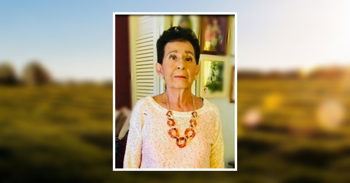 Connie V. Blea Obituary April 6, 2024 - Malesich & Shirey Funeral Home