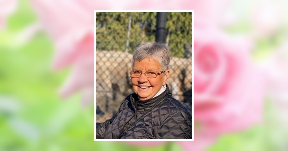 Carol Ann Hayden Obituary June 12, 2024 - Newcomer Toledo Carol Ann Hayden Obituary June 12, 2024 - Newcomer Toledo