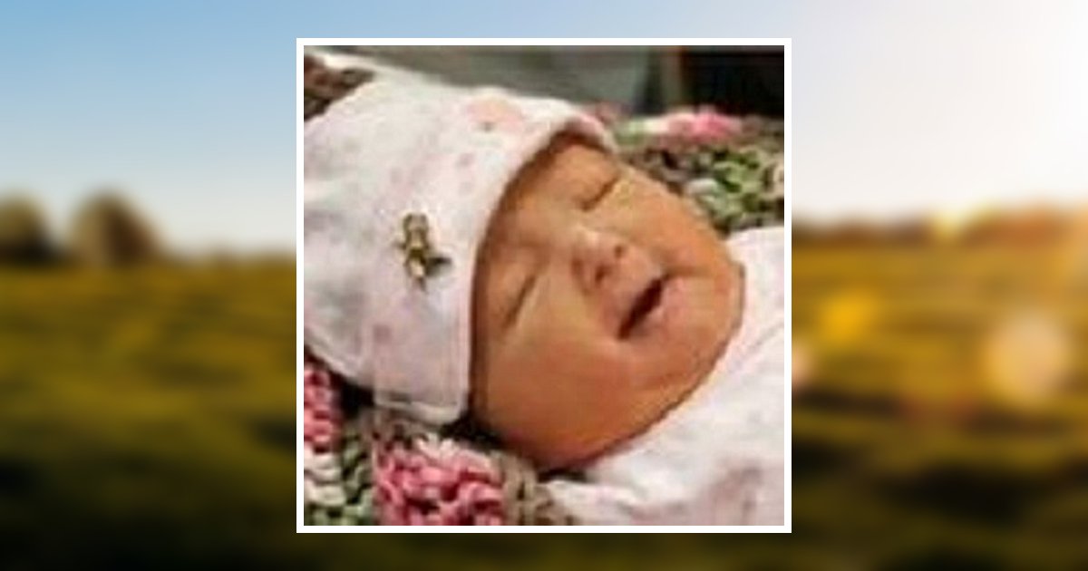 Ava Webb Obituary May 13, 2009 - Carlin Family Funeral Service